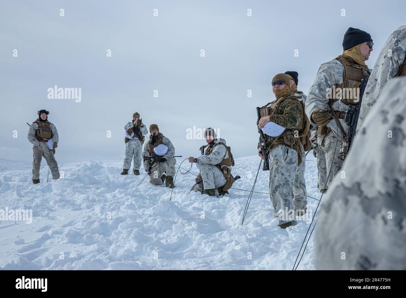 U.S. Marines with 2d Combat Engineer Battalion, 2d Marine Division ...