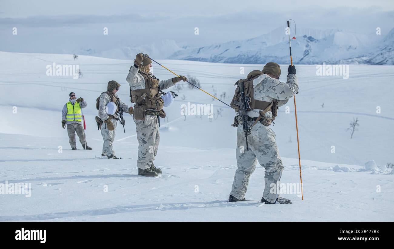 U.S. Marines with 2d Combat Engineer Battalion, 2d Marine Division, use ...