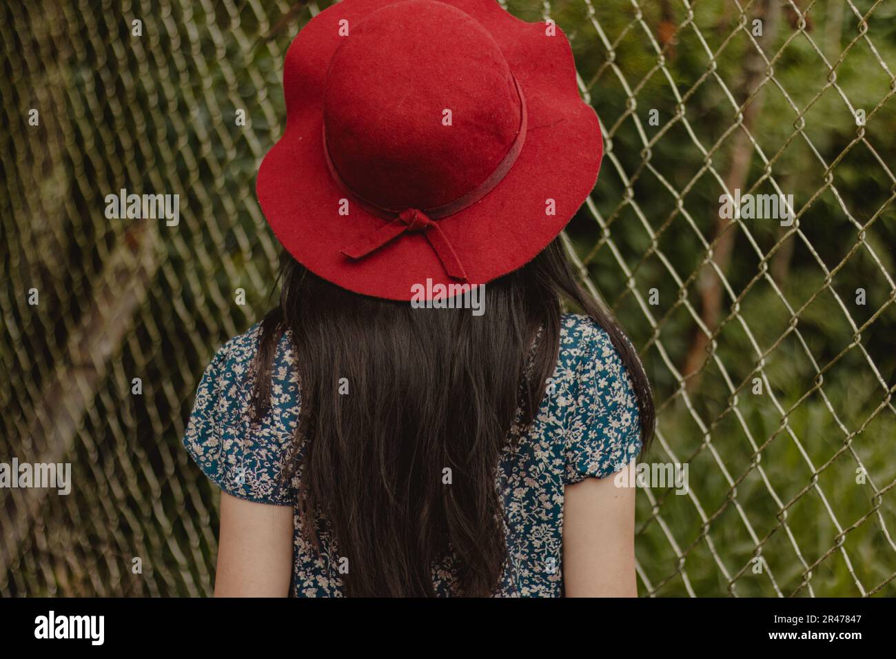 mystery woman from the back Stock Photo - Alamy