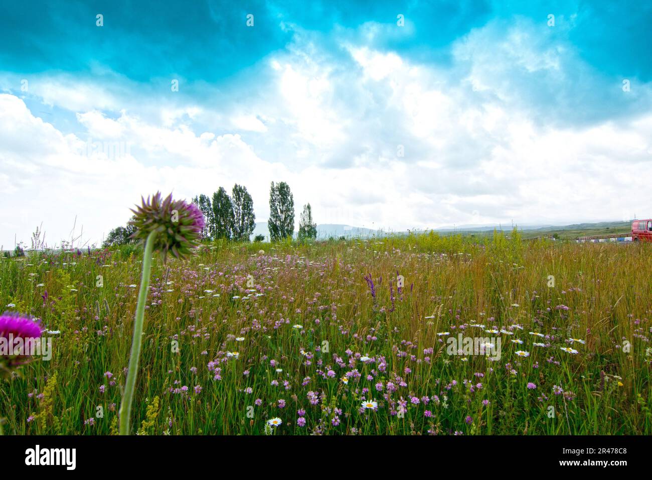 A scenic rural landscape featuring a lush field of tall grass and ...