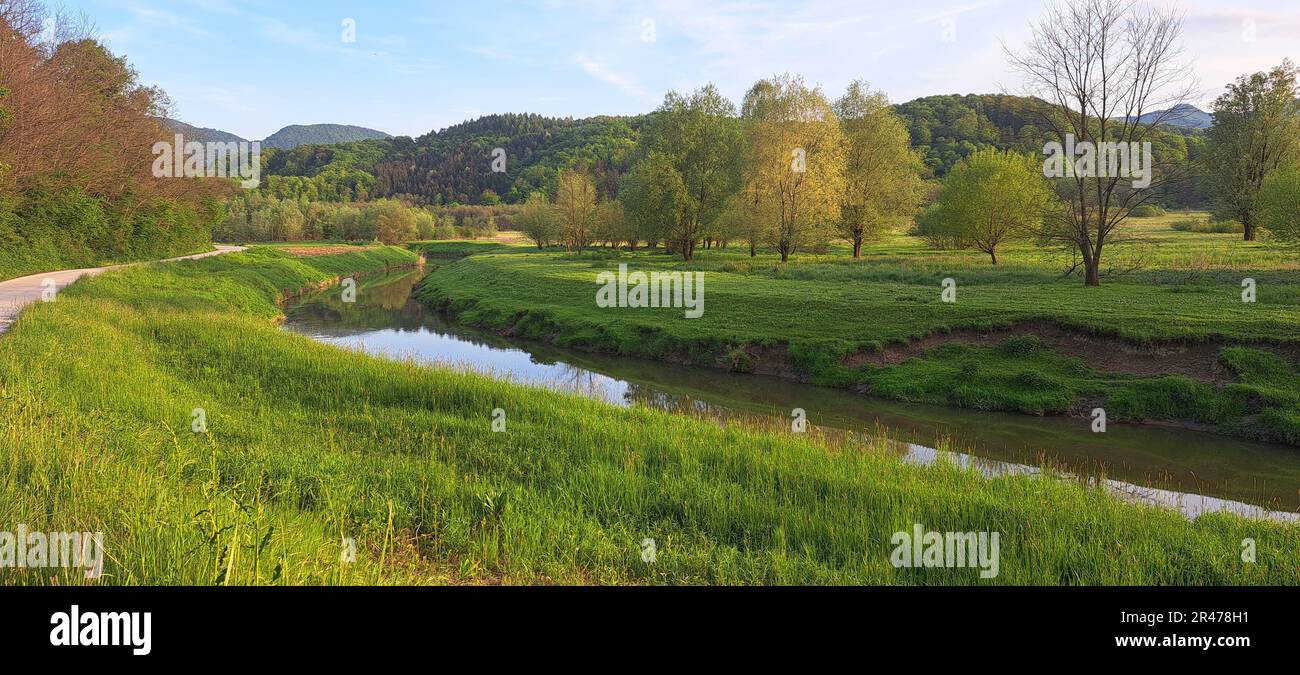 A landscape view of the narrow river flowing over the green field with ...
