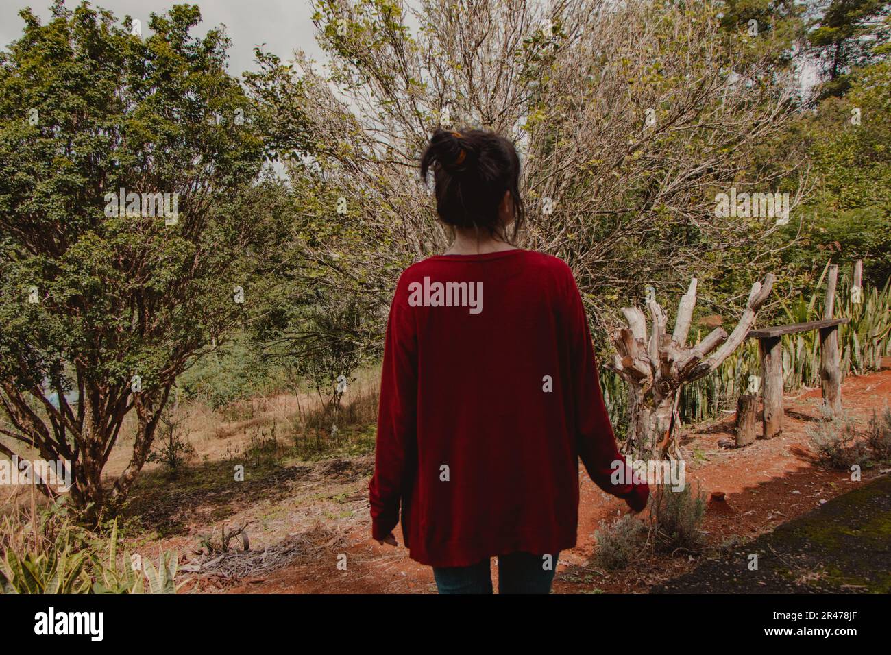 Woman back view landscape wild hi-res stock photography and images - Alamy