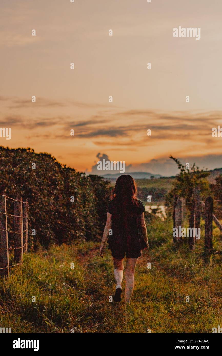 Person from back scenery hi-res stock photography and images - Alamy