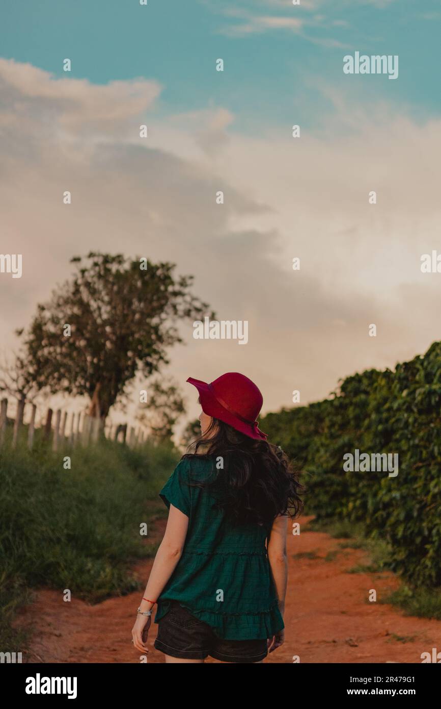 Back view young traveler hi-res stock photography and images - Alamy