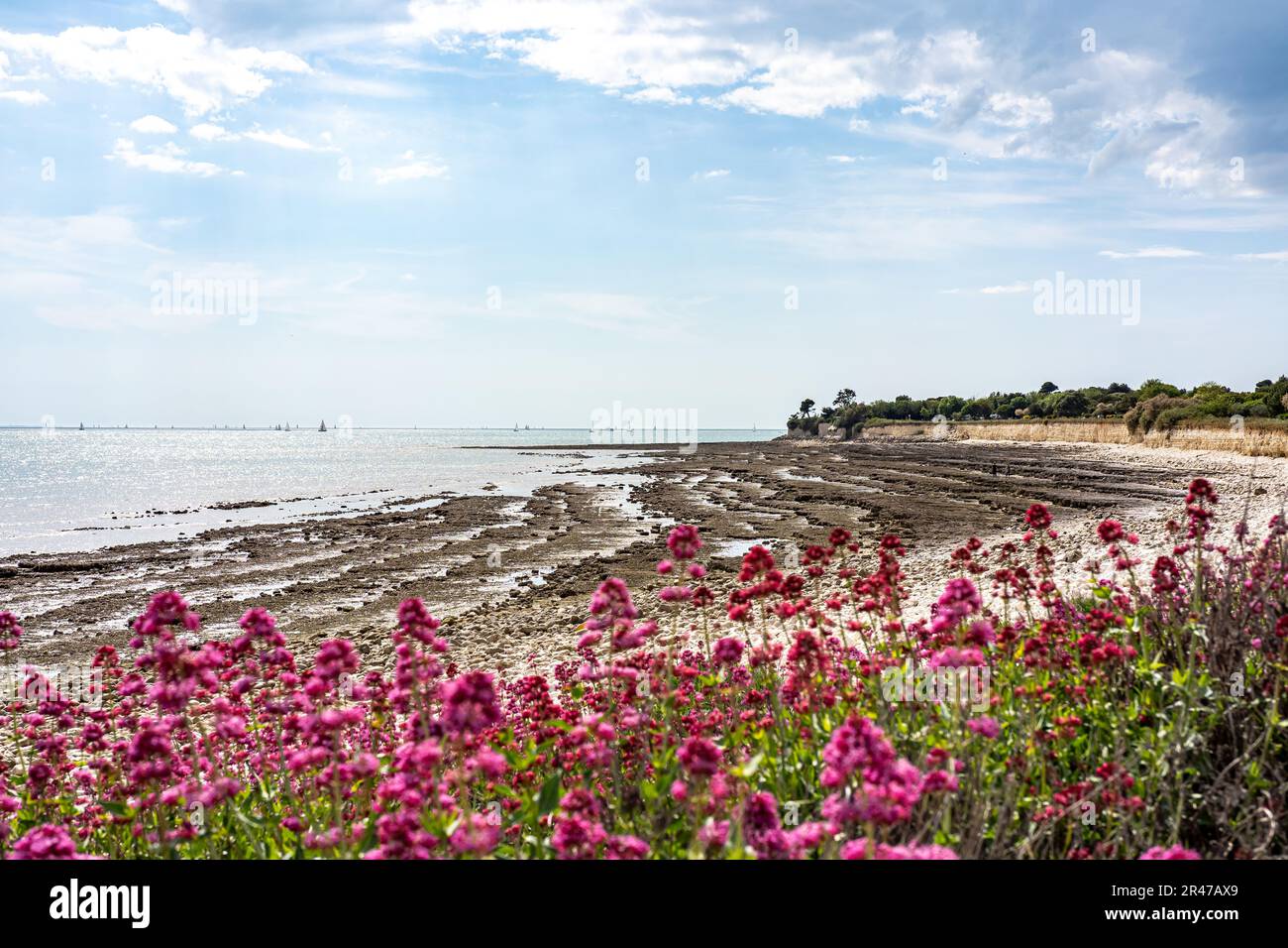 Lighthouse at the End of the World or Le Phare du Bout du Monde in La ...