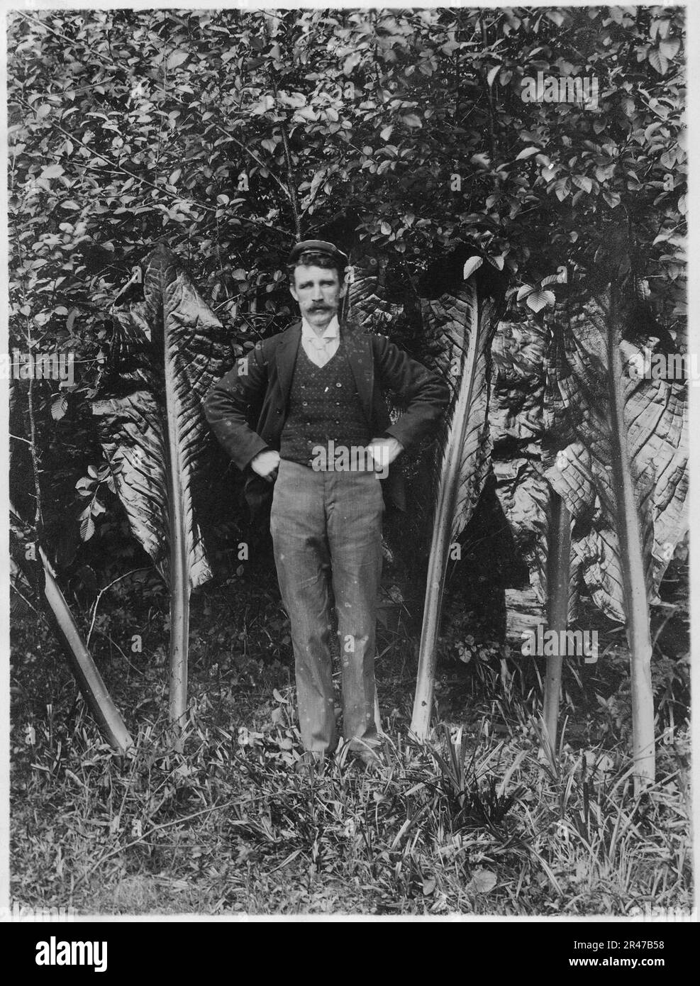 Unidentified white man Stock Photo - Alamy