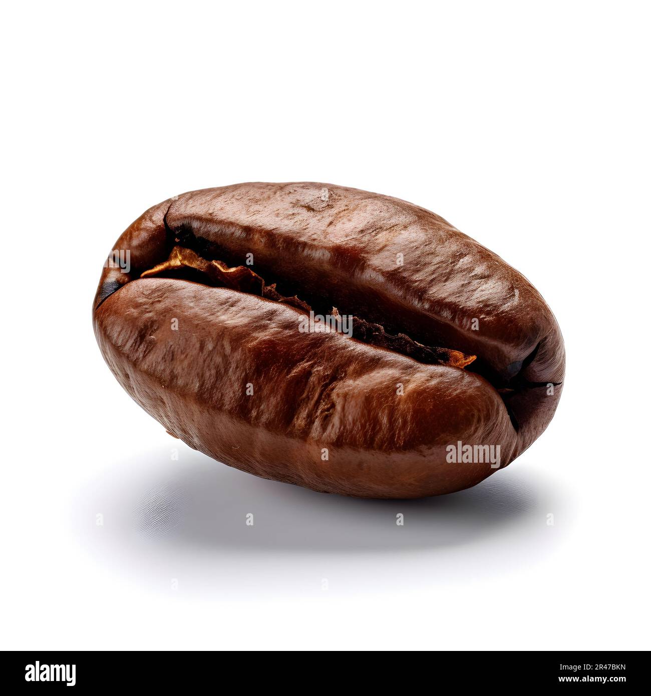 A split brown coffee bean on a white background Stock Photo - Alamy