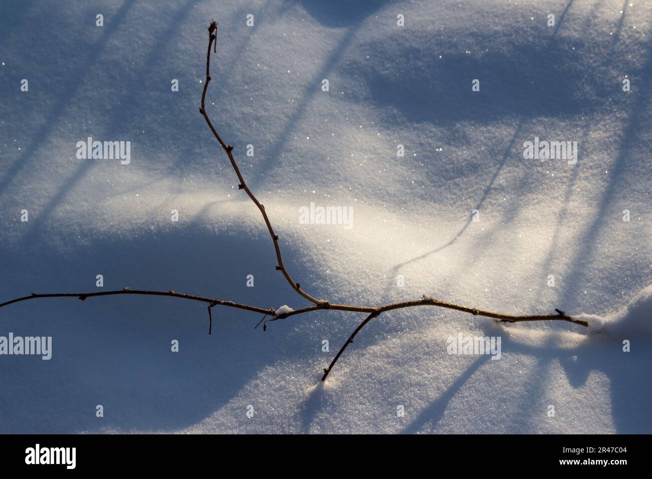 Shiny white snow in winter season background Stock Photo - Alamy
