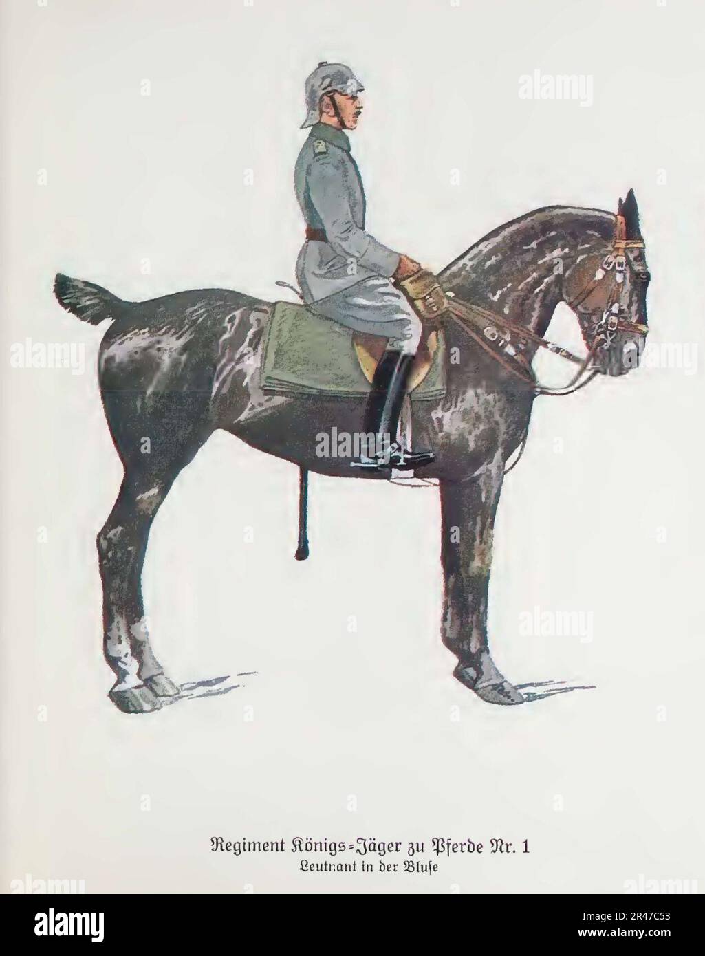 Uniform, Königs-Jäger-Regiment zu Pferde Nr. 1, Tafel 19, Paul Casberg ...
