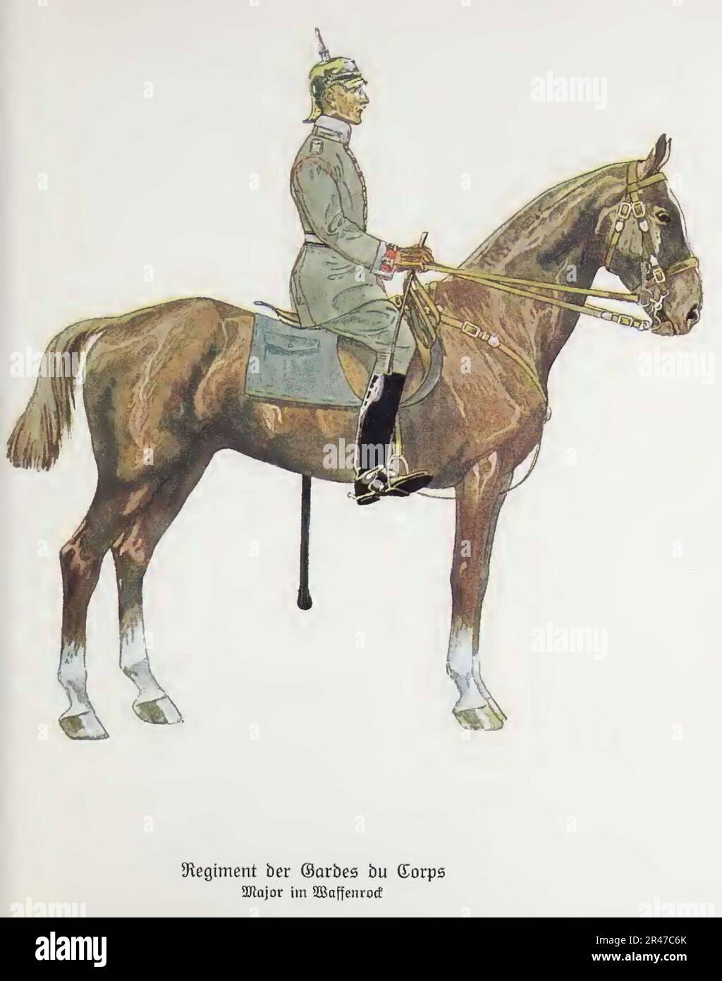 Uniform, Regiment der Gardes du Corps, Tafel 12, Paul Casberg Stock ...