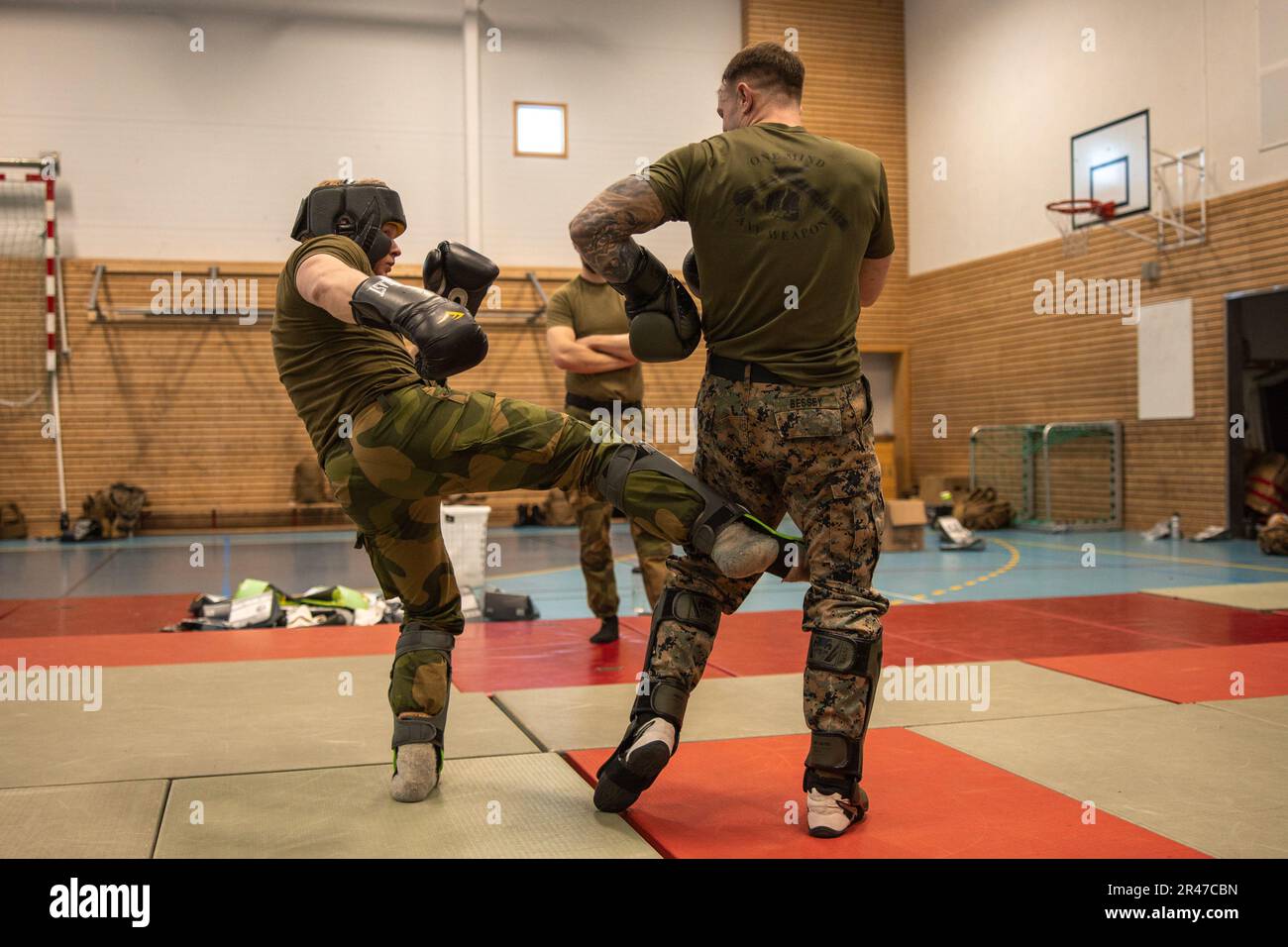 U.S. Marine Corps Staff Sgt. Brian Bessey, a martial arts instructor ...