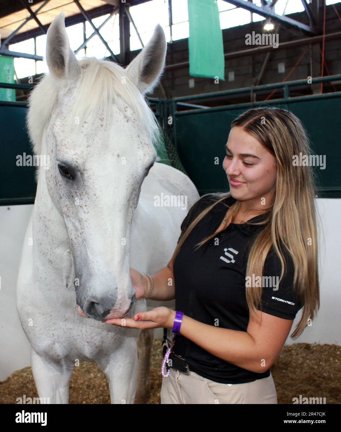 Female white horse hi-res stock photography and images - Alamy