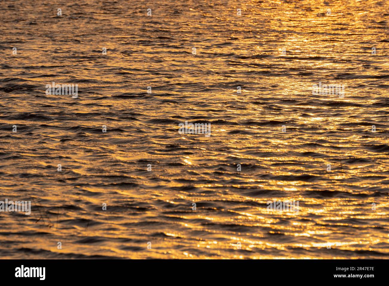 A beautiful golden sunset over a majestic ocean, with large waves Stock ...