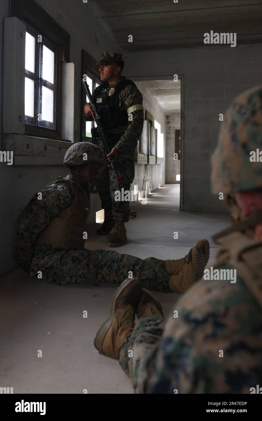Marine corps pmo hi-res stock photography and images - Alamy