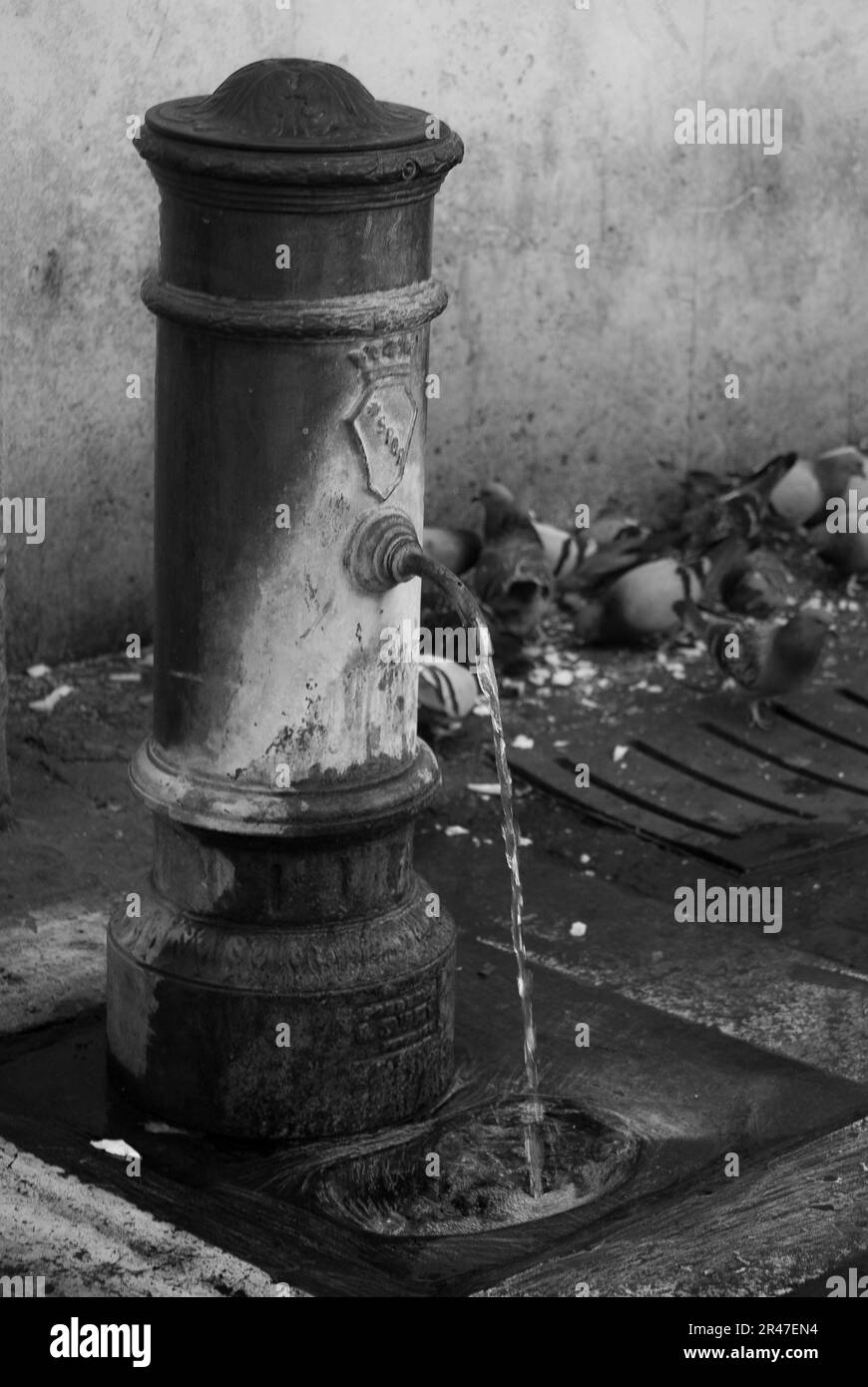 Old Roman Fount in black and white with pigeons Stock Photo - Alamy