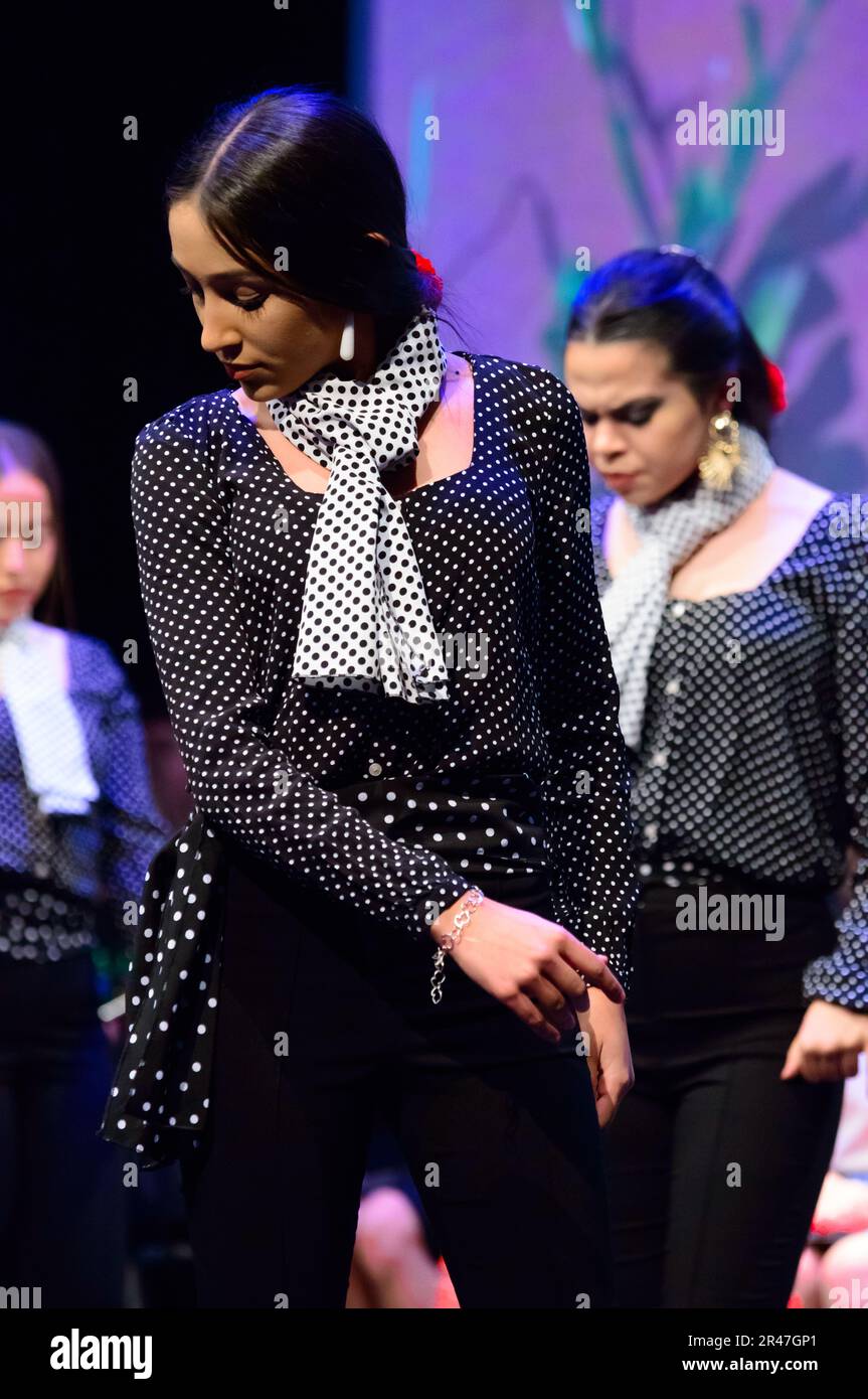 The Flamenco Tree musical was performed at the La Casa Encendida, by ...