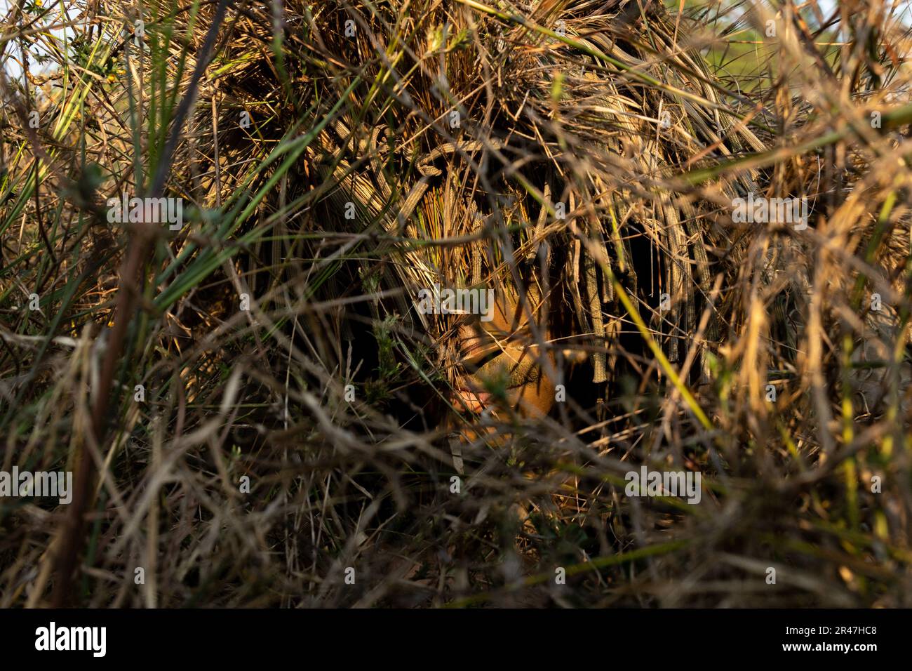 U.S. Marine Corps Cpl. Jonathon Damitio, a professionally instructed ...