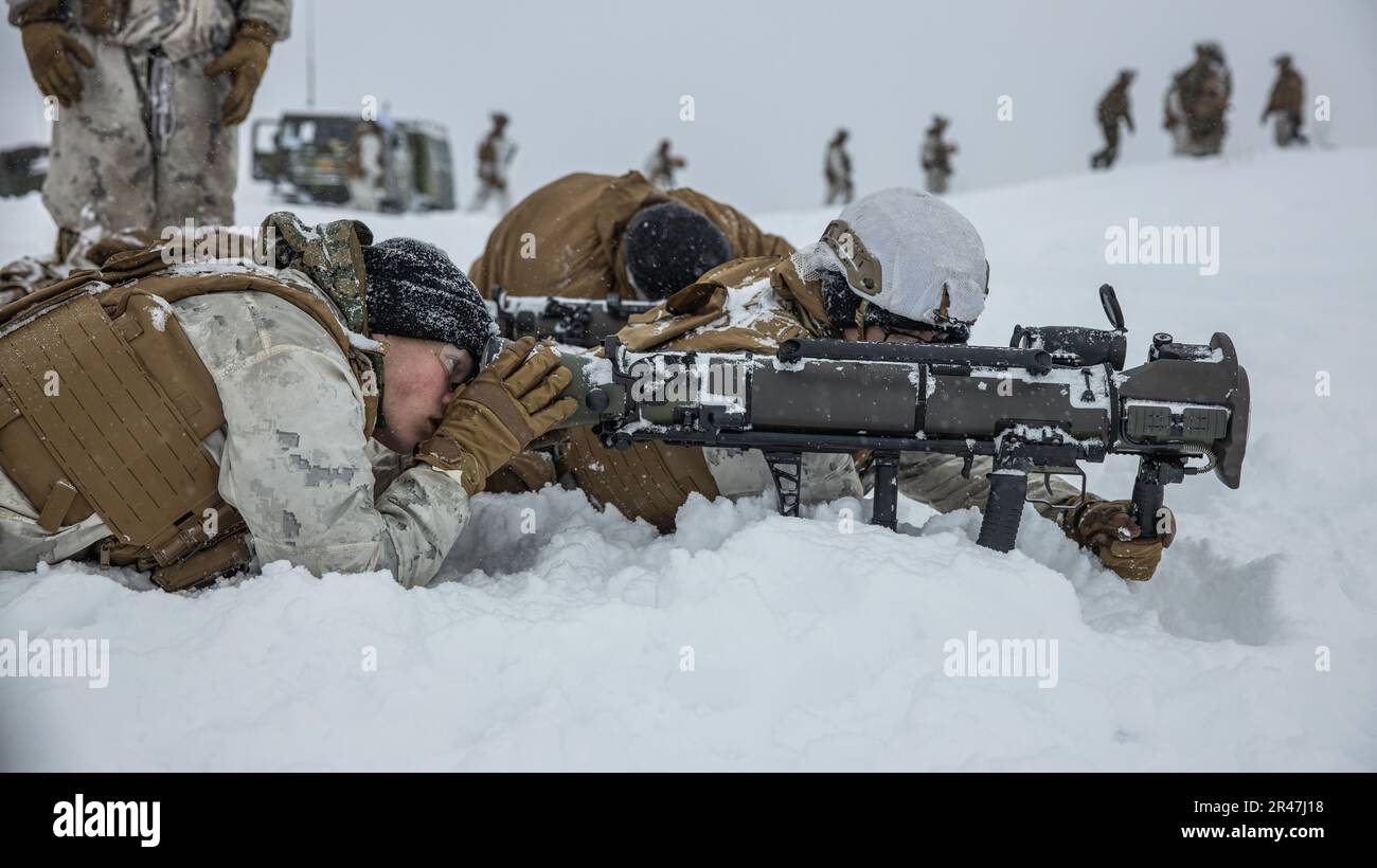 U.S. Marines with 2d Combat Engineer Battalion, 2d Marine Division ...