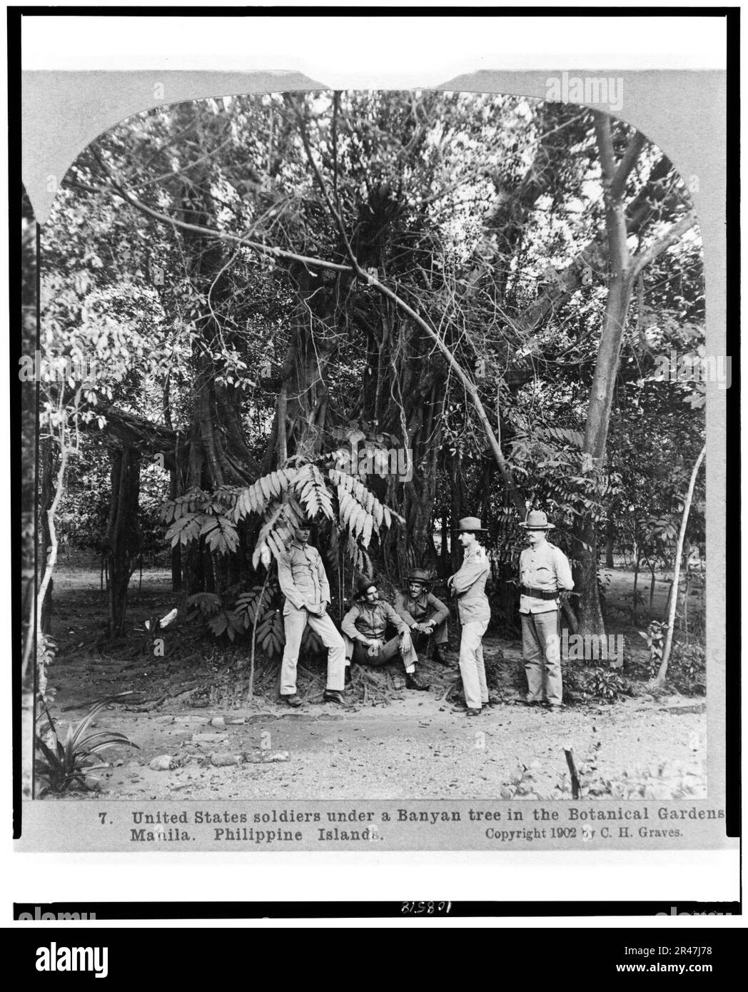 United States soldiers under a Banyan tree in the botanical gardens ...