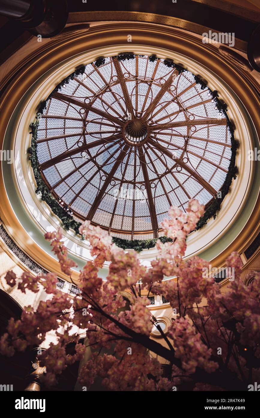 A low angle of a circular glass ceiling surrounded by the lush cherry ...