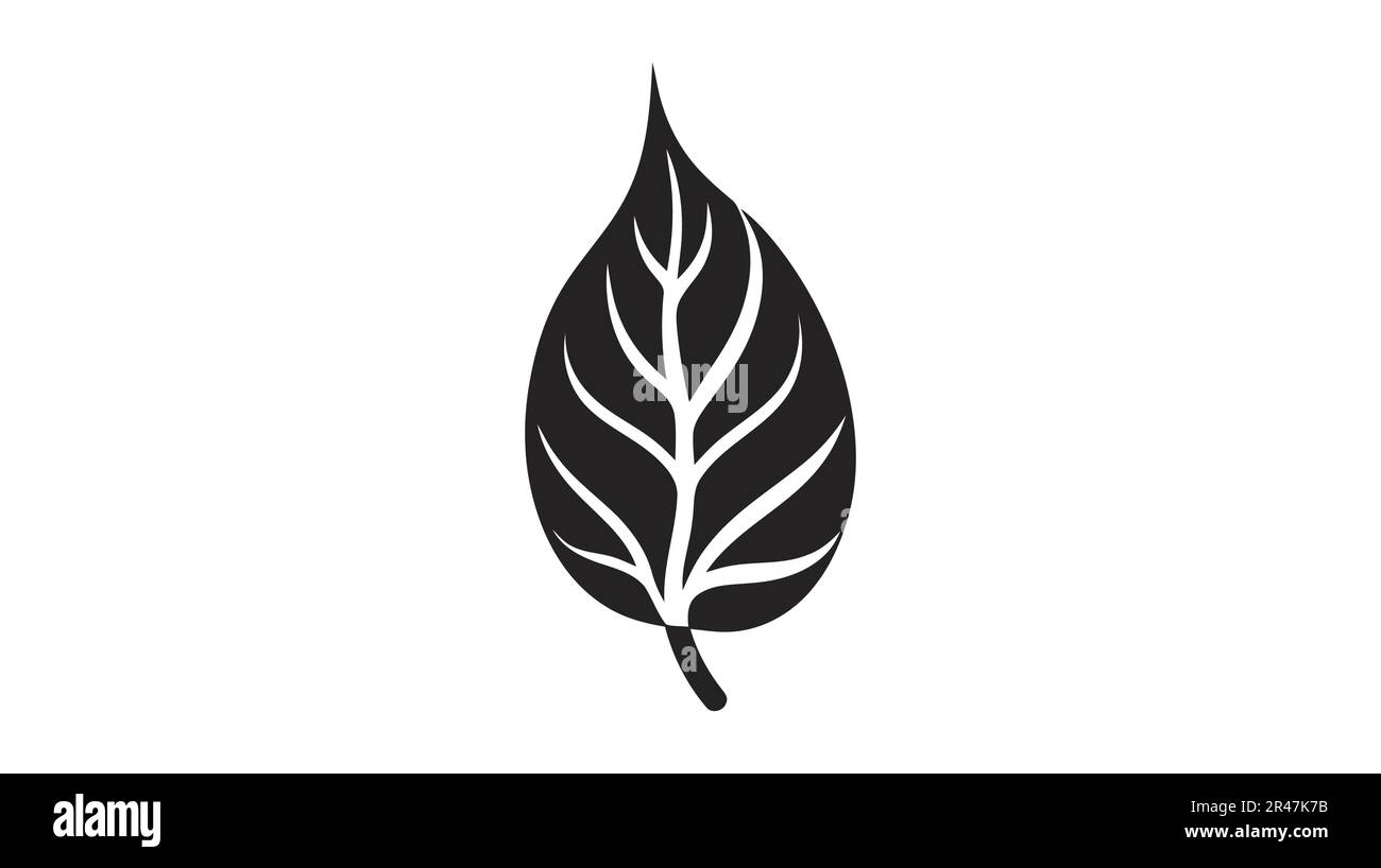 Eco icon black leaf vector illustration isolated on white background ...