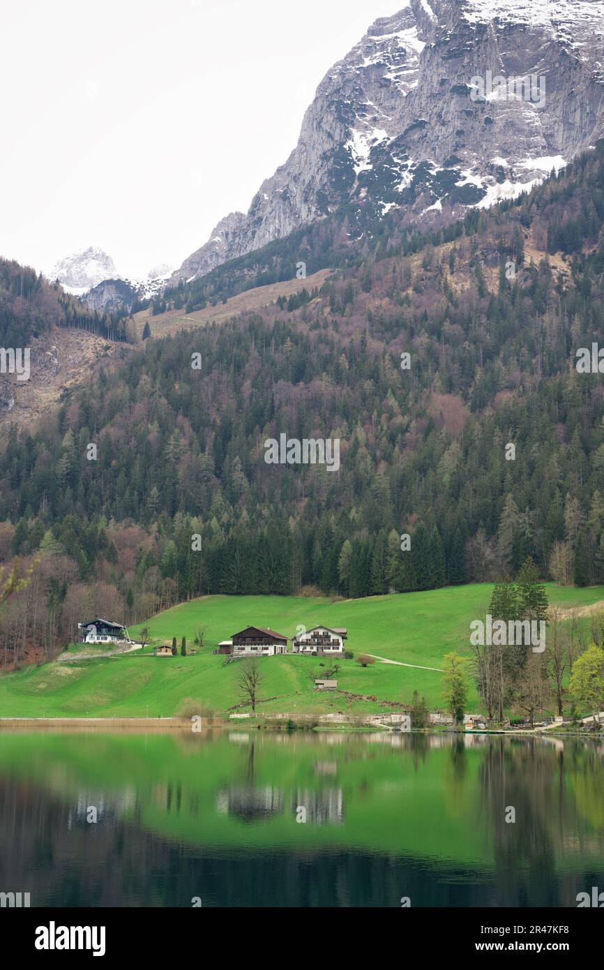 Photo of the view of the Lake Hintersee Stock Photo - Alamy