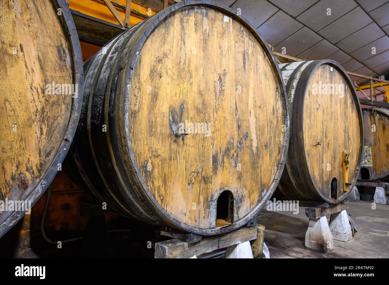 Making of traditional natural Asturian cider made from fermented apples ...