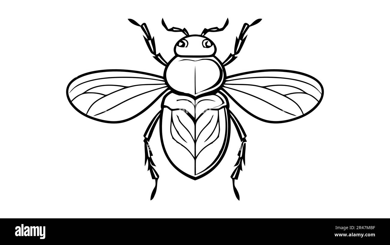 Vector black silhouette of a beetle isolated on a white background ...
