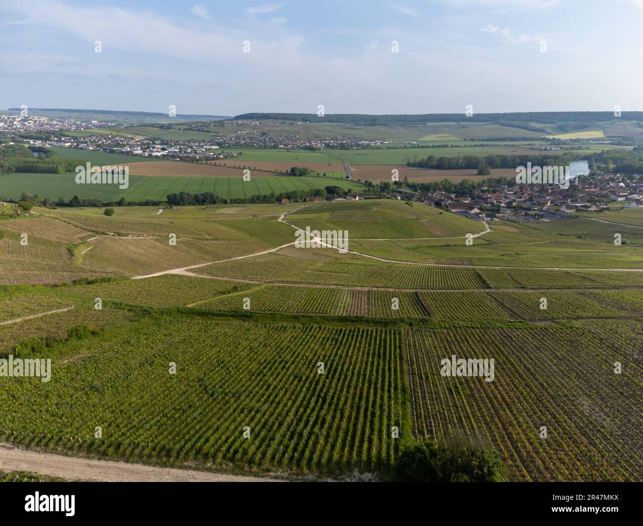 Panoramic aerial view on green premier cru champagne vineyards and ...