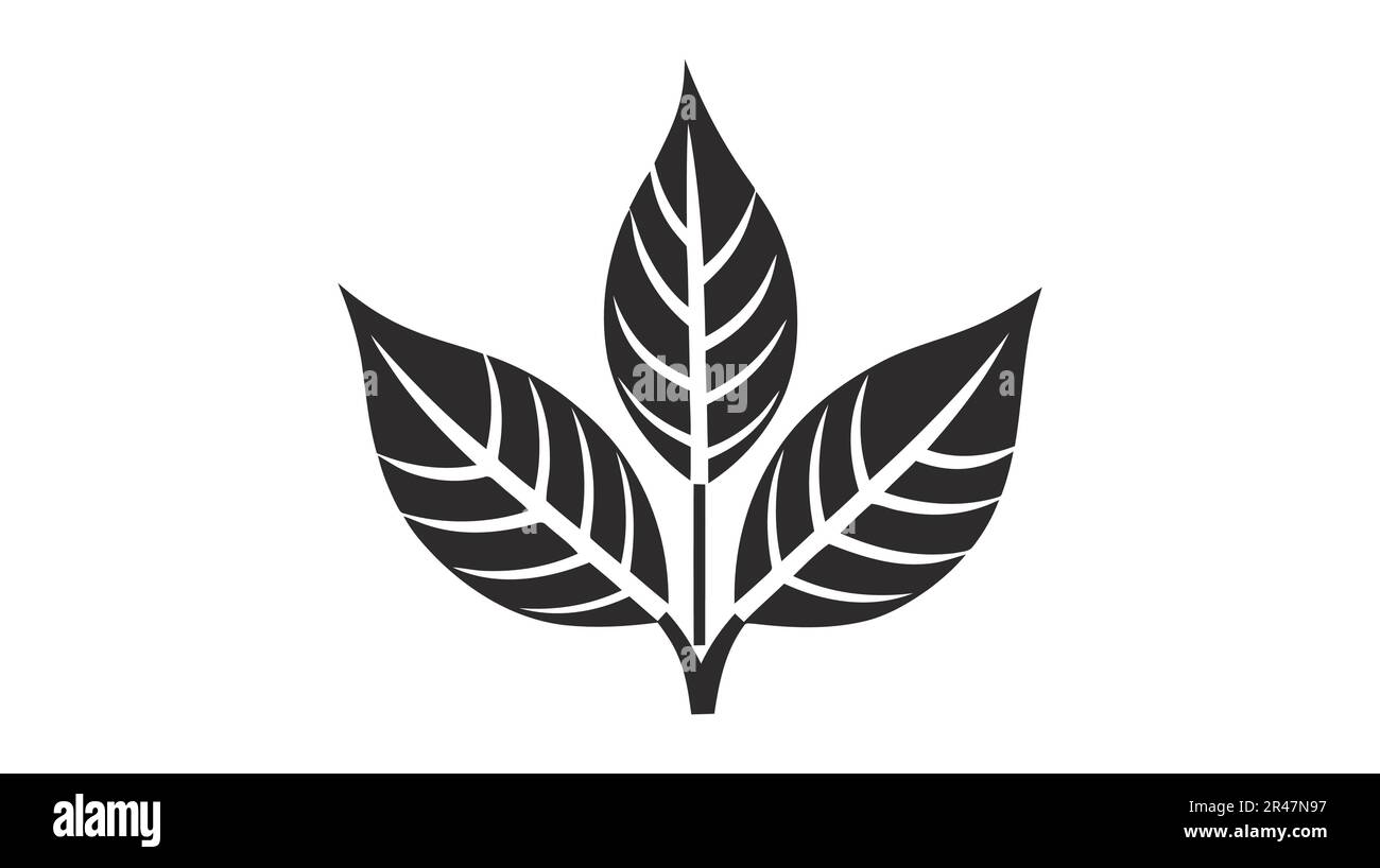 Eco icon black leaf vector illustration isolated on white background ...