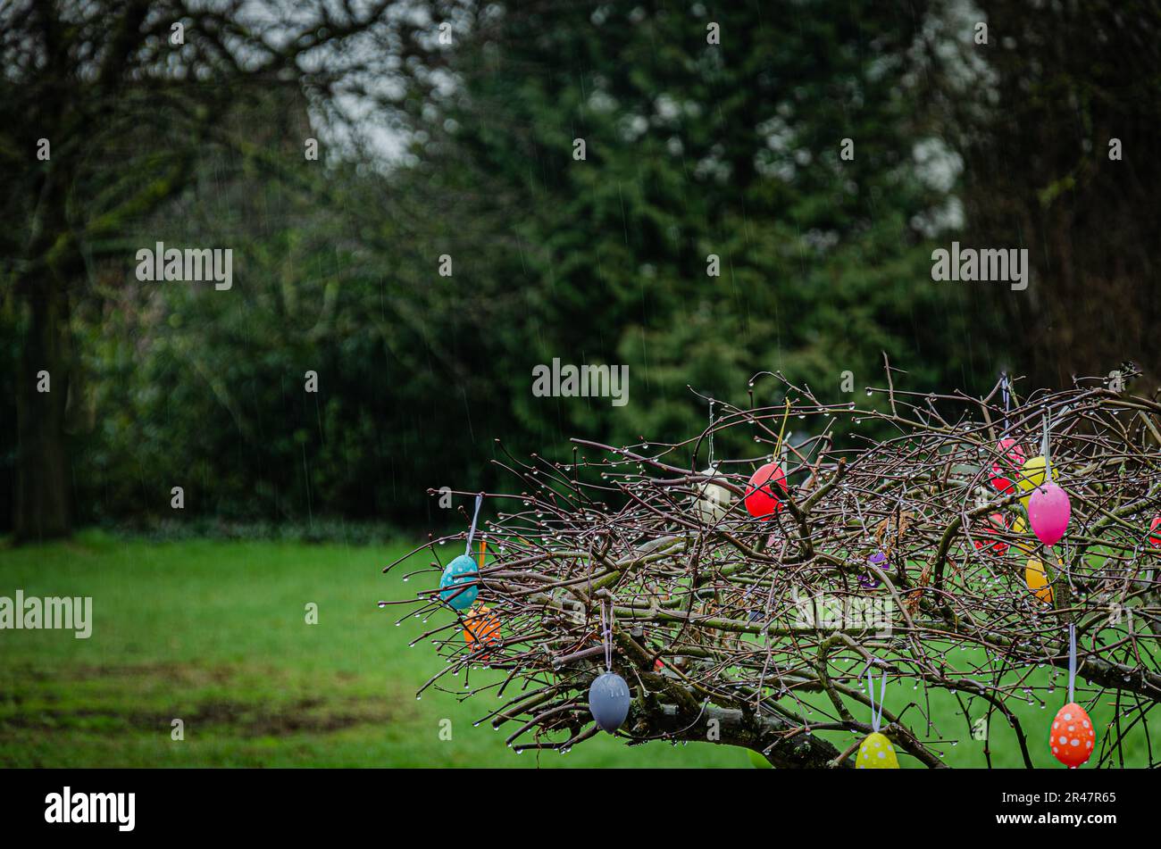 An assortment of brightly colored eggs hanging from a tree branch Stock ...
