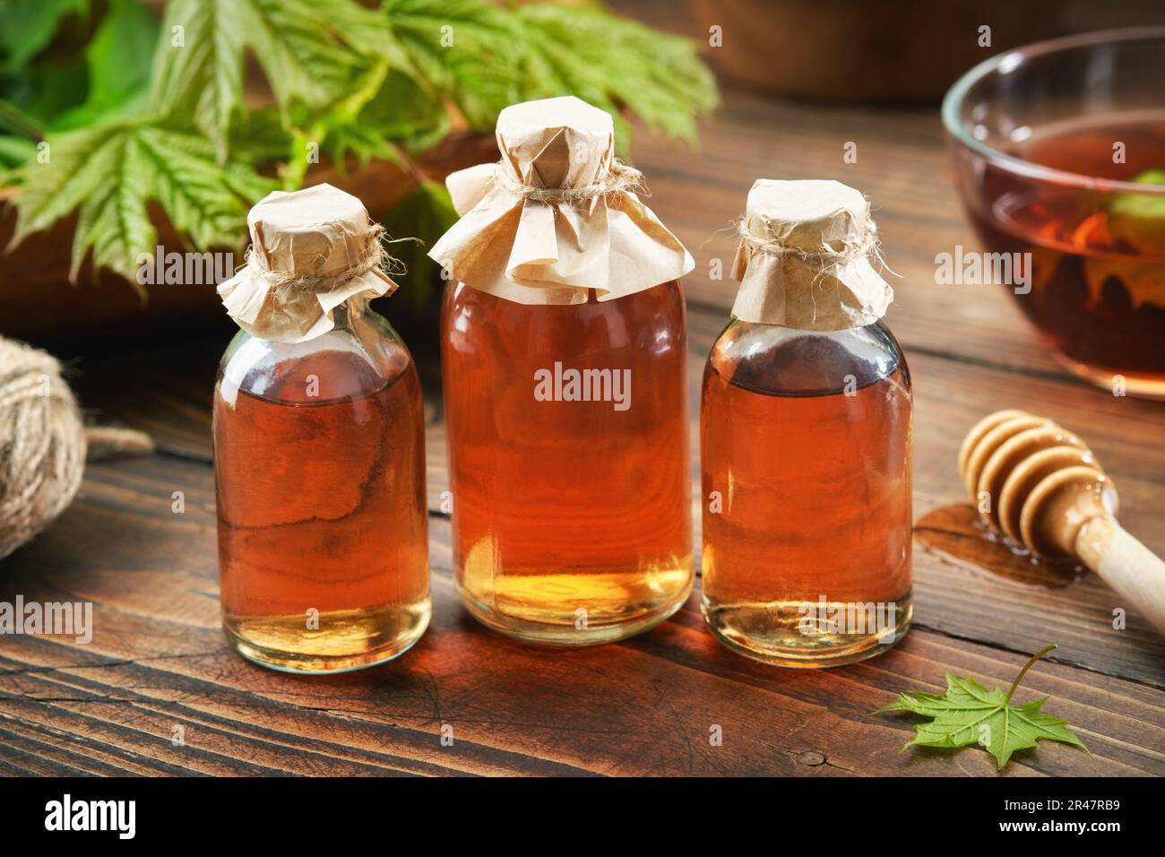 Three bottles of maple syrup or healthy tincture and spring maple ...