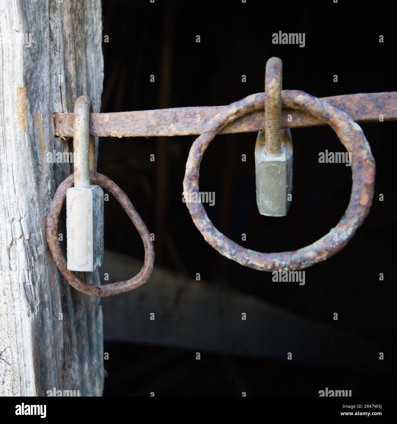 An ornate wooden door with two large, decorative rusty rings Stock ...