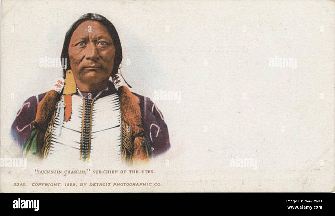 Unknown CO - ''Buckskin Charlie,'' Sub-Chief of the Utes Stock Photo ...