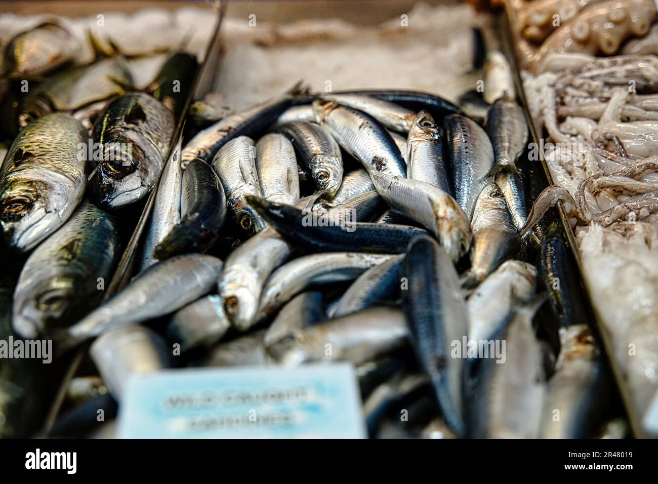 Fish and some squid on the market of Melbourne Stock Photo - Alamy