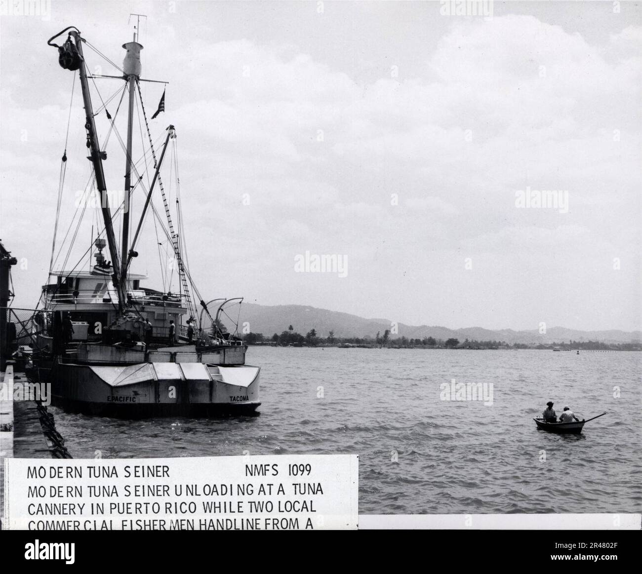 Unloading tuna at a Puerto Rican tuna processing plant in 1967 Stock ...