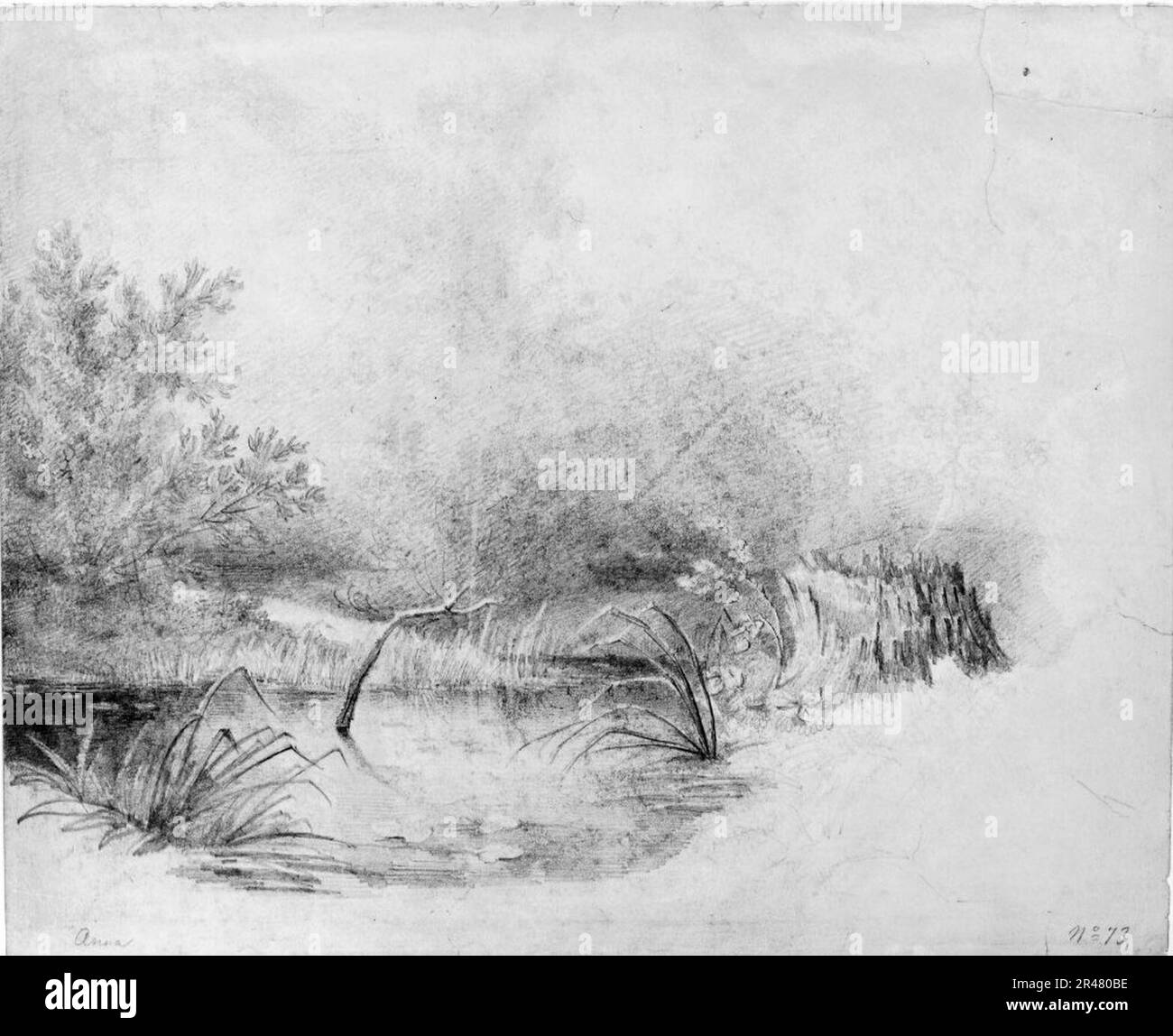 Troili uno hi-res stock photography and images - Alamy