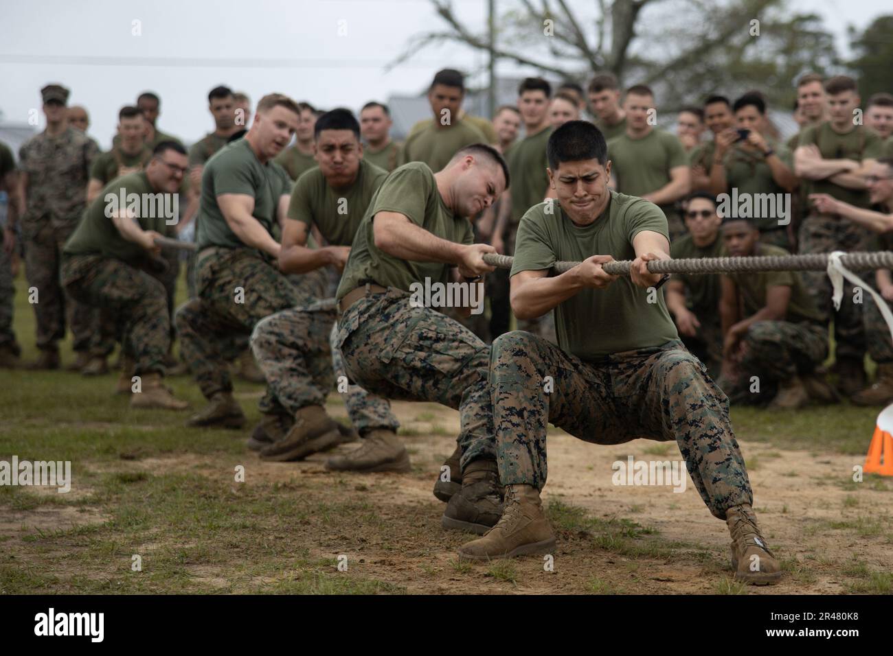 U.S. Marines with 2d Assault Amphibian Battalion (AAbn), 2d Marine ...