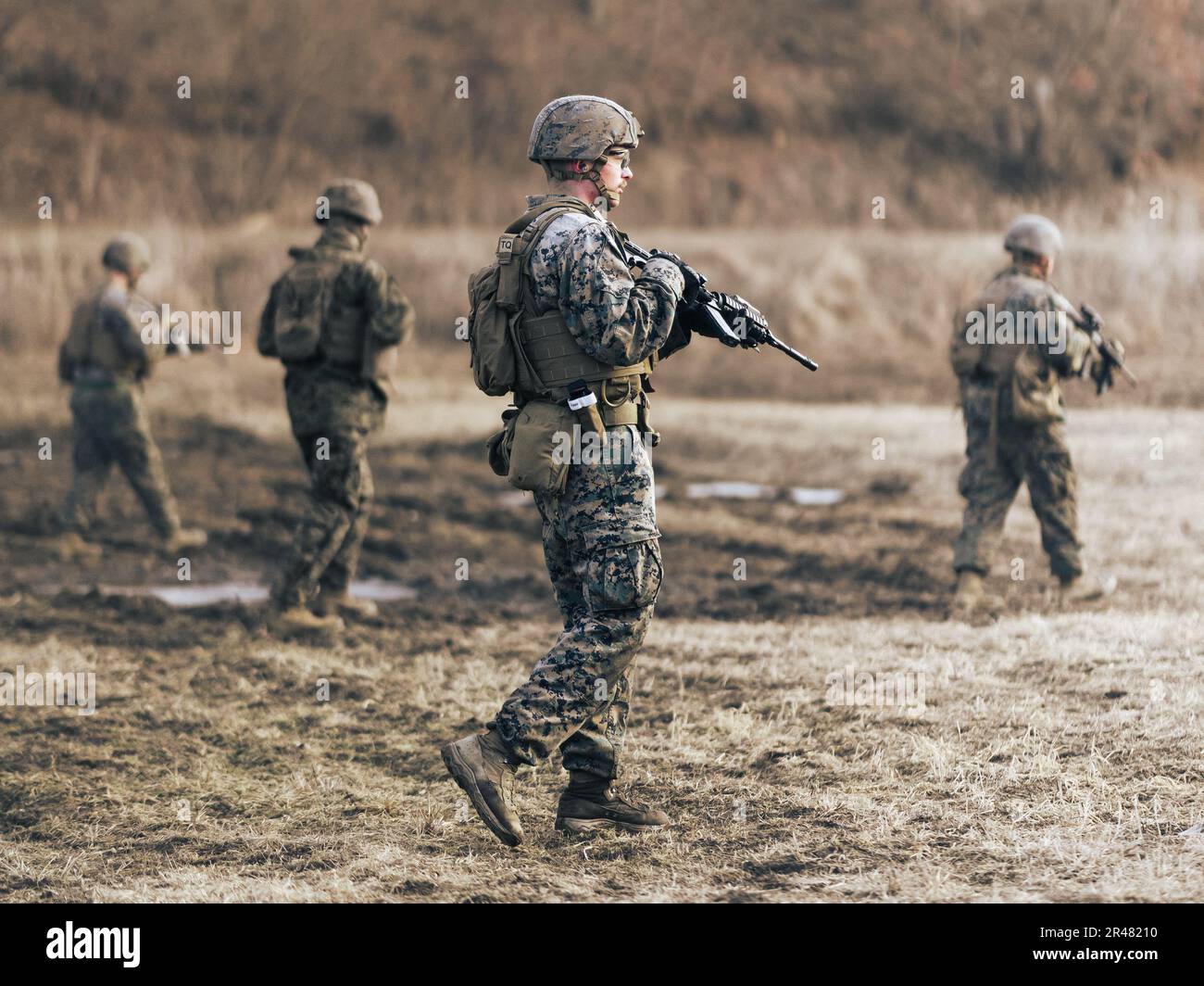 Bushidostrike23 hi-res stock photography and images - Alamy