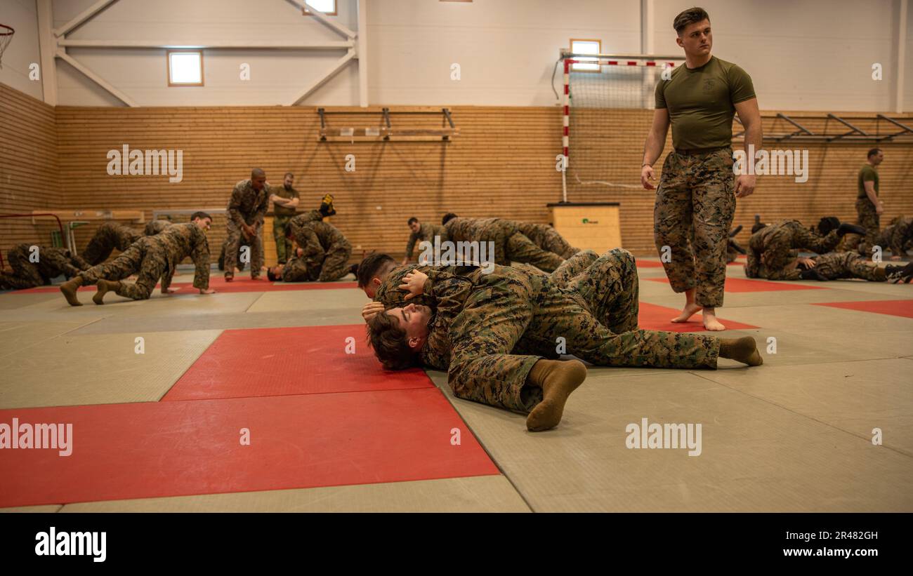 U.S. Marines with 2d Combat Engineer Battalion, 2d Marine Division ...