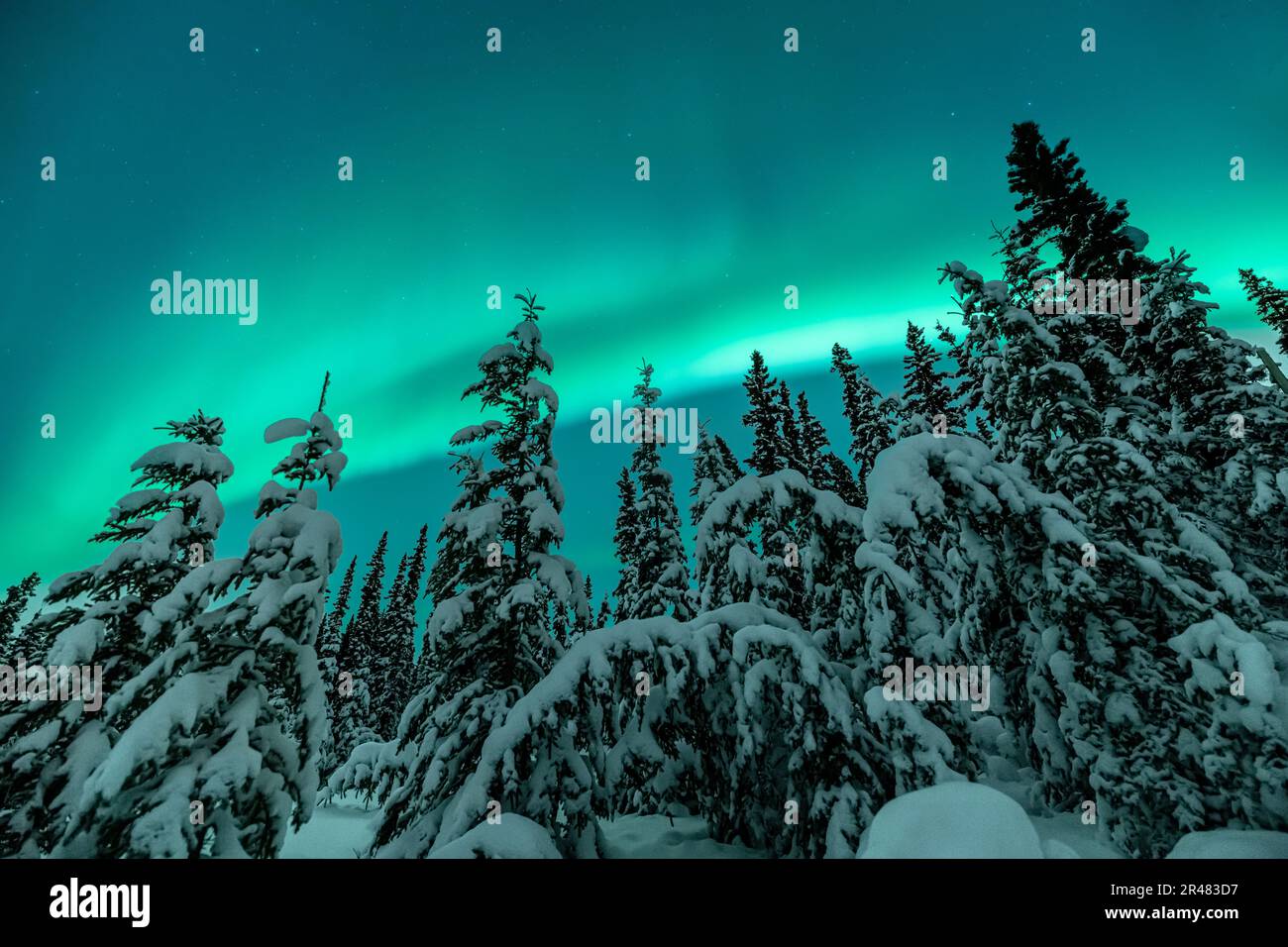 Astonishing, amazing northern lights aurora borealis seen in Yukon ...