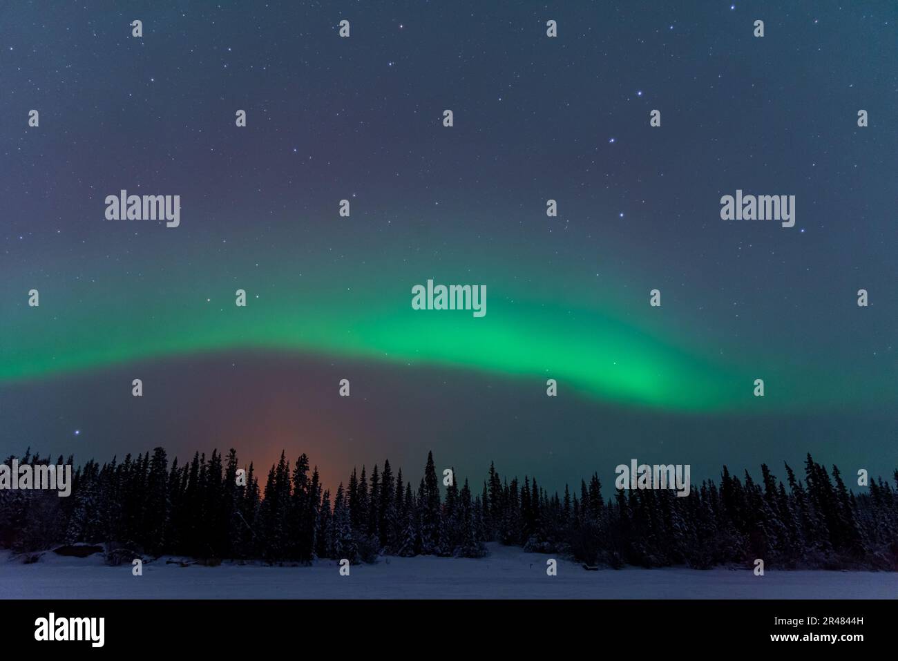 Astonishing, amazing northern lights aurora borealis seen in Yukon ...