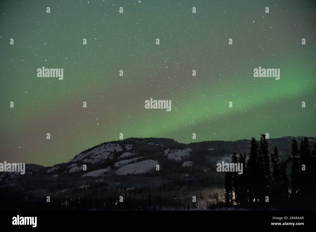 Astonishing, amazing northern lights aurora borealis seen in Yukon ...