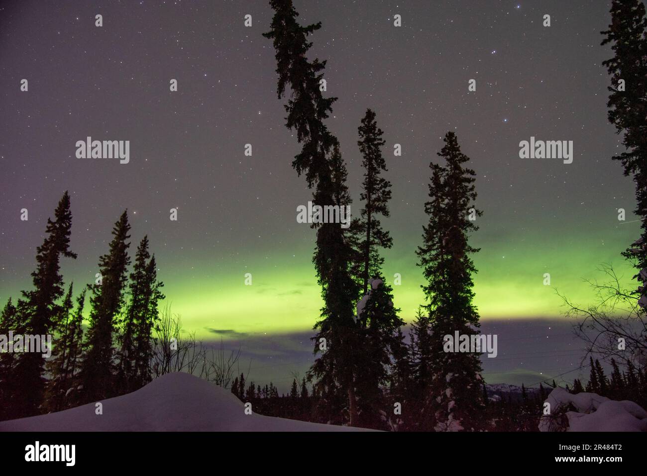 Astonishing, amazing northern lights aurora borealis seen in Yukon ...