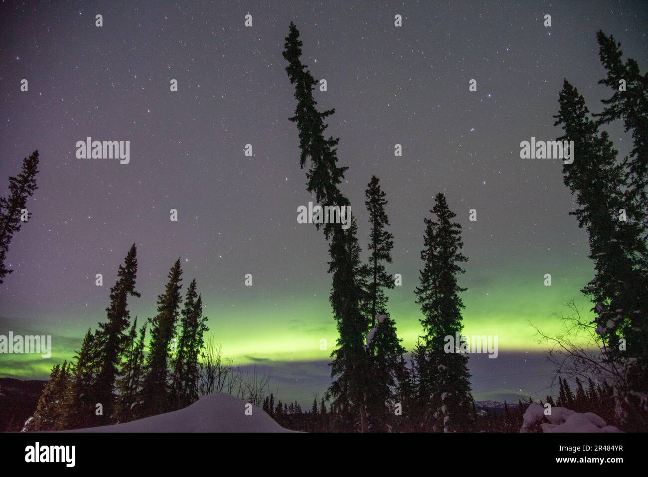 Astonishing, amazing northern lights aurora borealis seen in Yukon ...