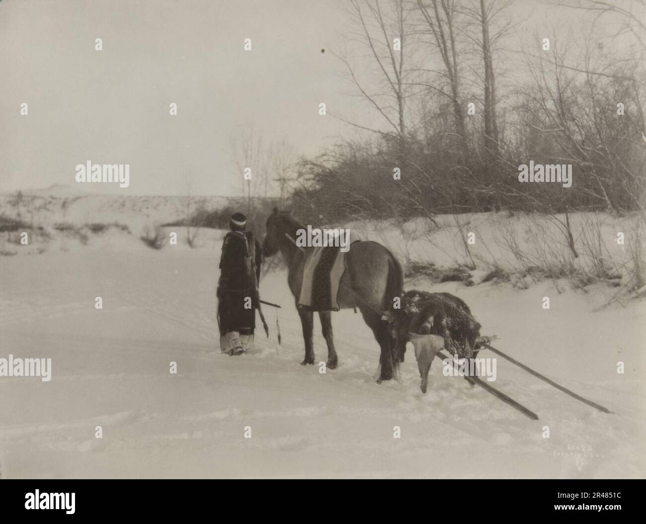 Untitled (Native American with horse pulling travois Stock Photo - Alamy