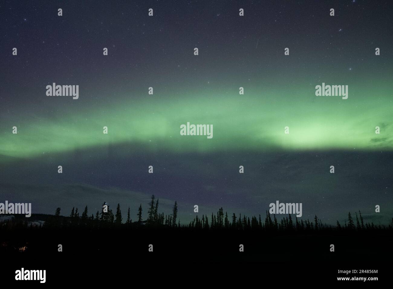 Astonishing, amazing northern lights aurora borealis seen in Yukon ...