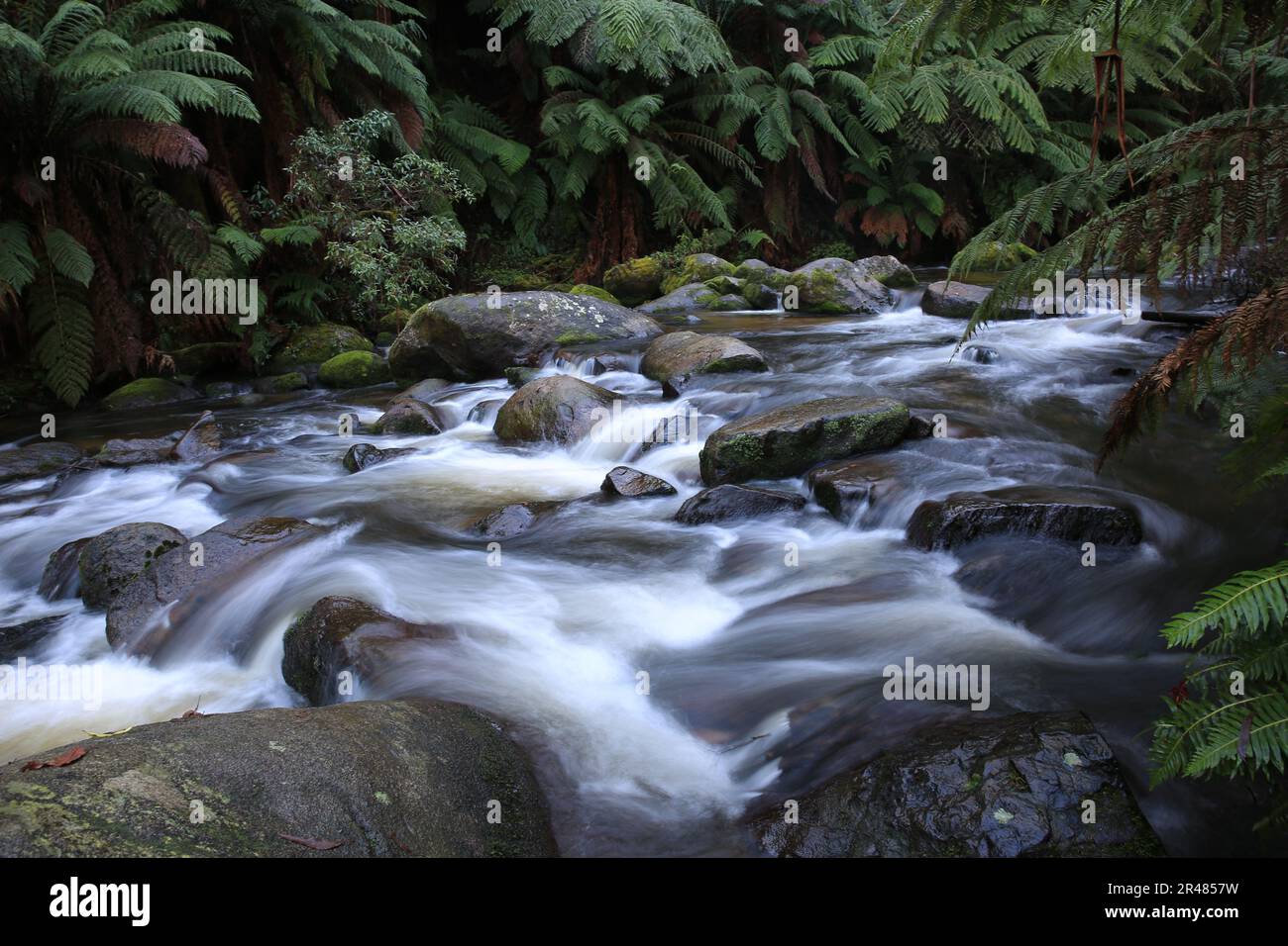 A tranquil scene of a river with clear, flowing water meandering ...