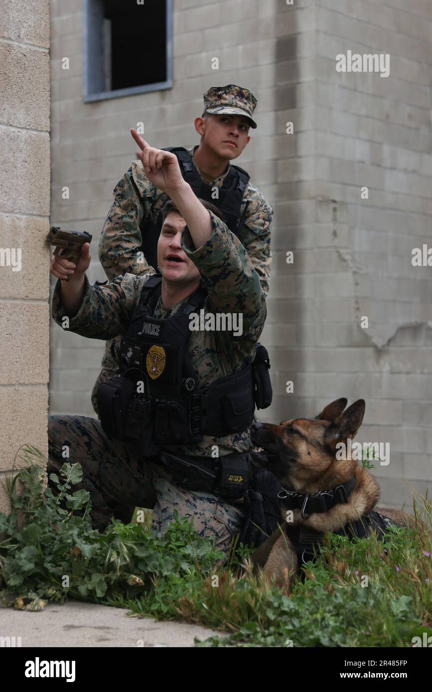Marine corps pmo hi-res stock photography and images - Alamy