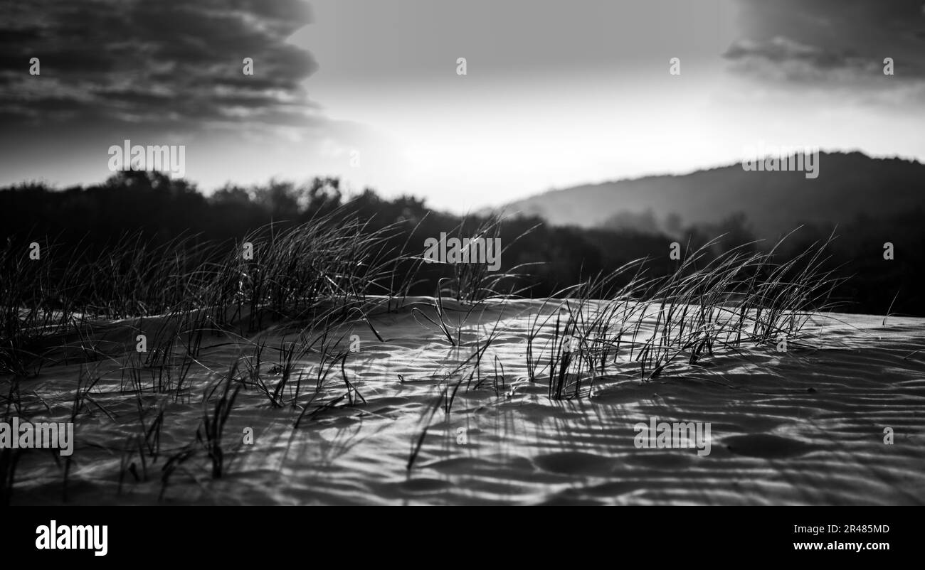 A vibrant green field of grass in the foreground, illuminated by a ...